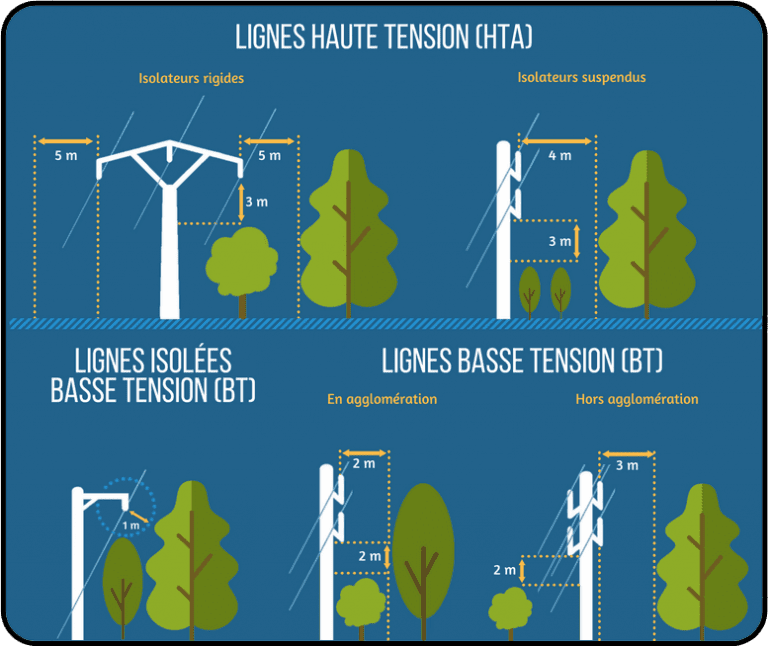Elagage près des lignes électriques : toutes les informations