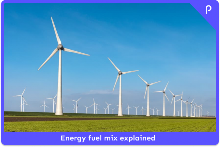 Energy Fuel Mix Explained - papernest