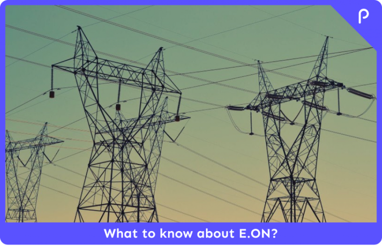 E.ON Next: Your Energy Guide for 2022 - papernest