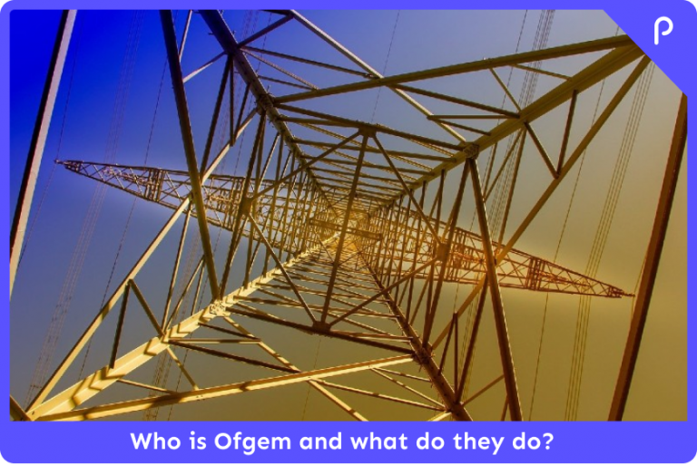 What is Ofgem and what do they do?- papernest