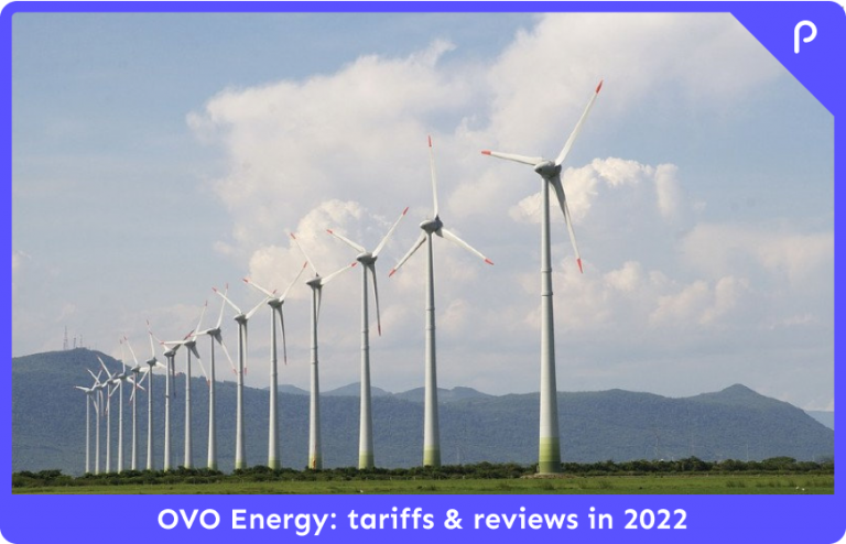 OVO Energy Tariffs & Reviews in 2022 - papernest