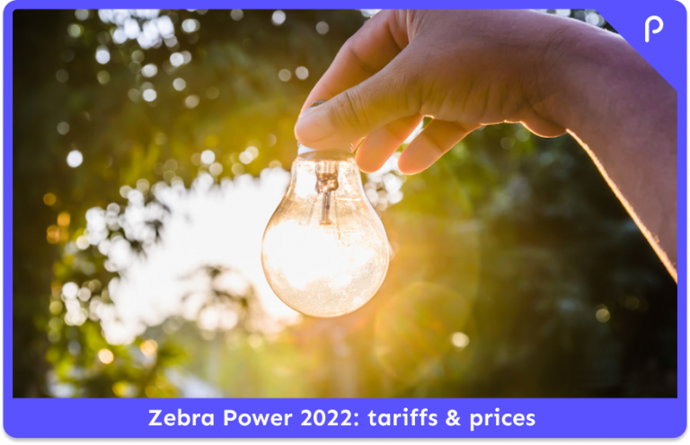 Zebra Power in 2021: Reviews, Contact Details & Prices