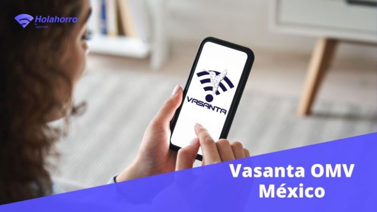 Todo lo que debes saber sobre Vasanta antes de contratarlo