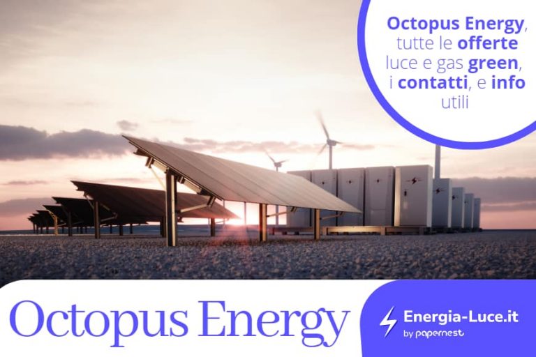 Octopus Energy: scopri tutto quello che c'è da sapere - Energia-Luce.it