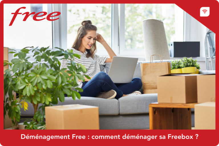Demenager Freebox Delai